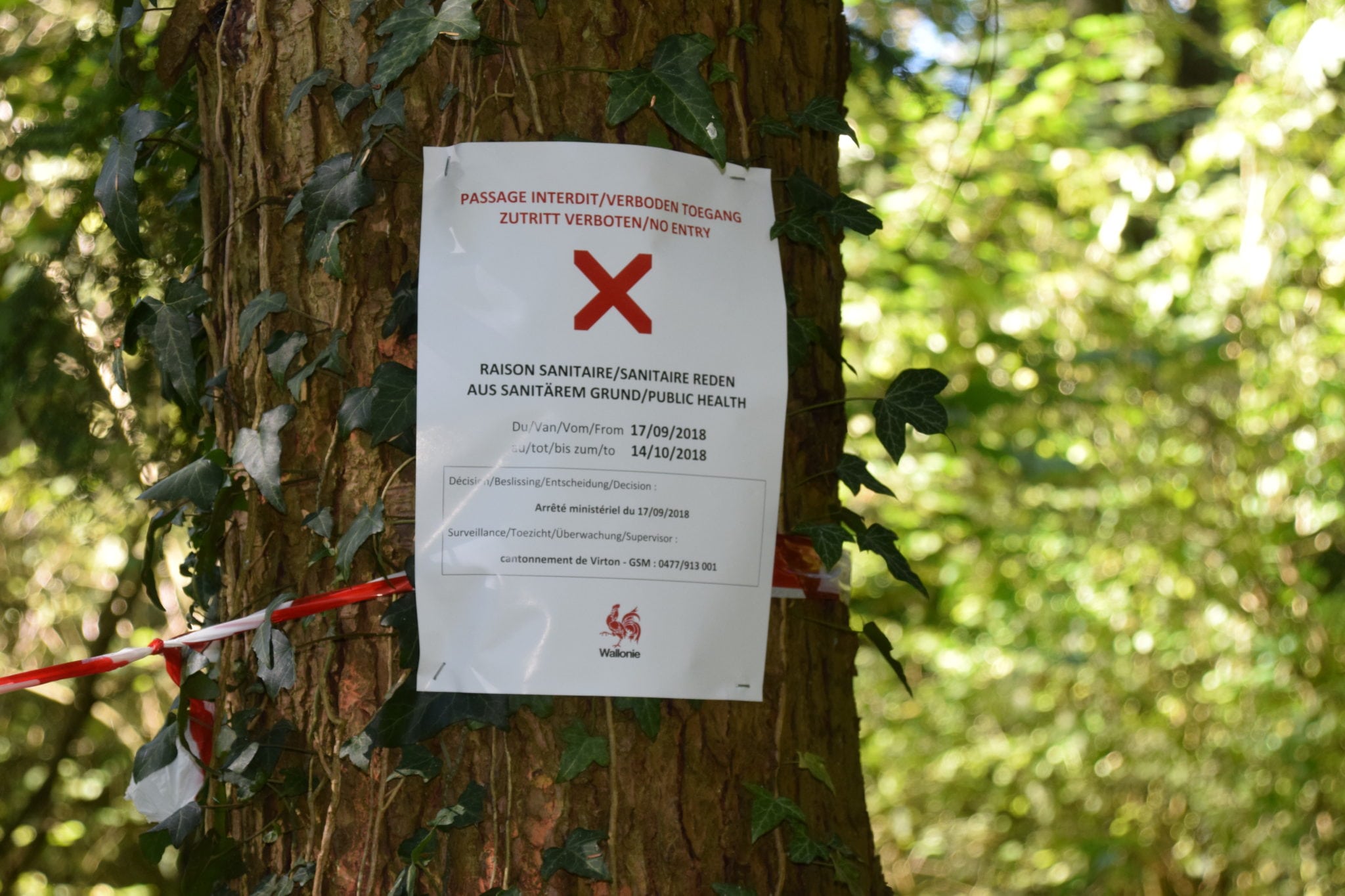 DSC_0555 | Ecolo Virton